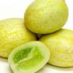 Le Jardin d'Albert - Plants potager & aromatique - Boutique en ligne